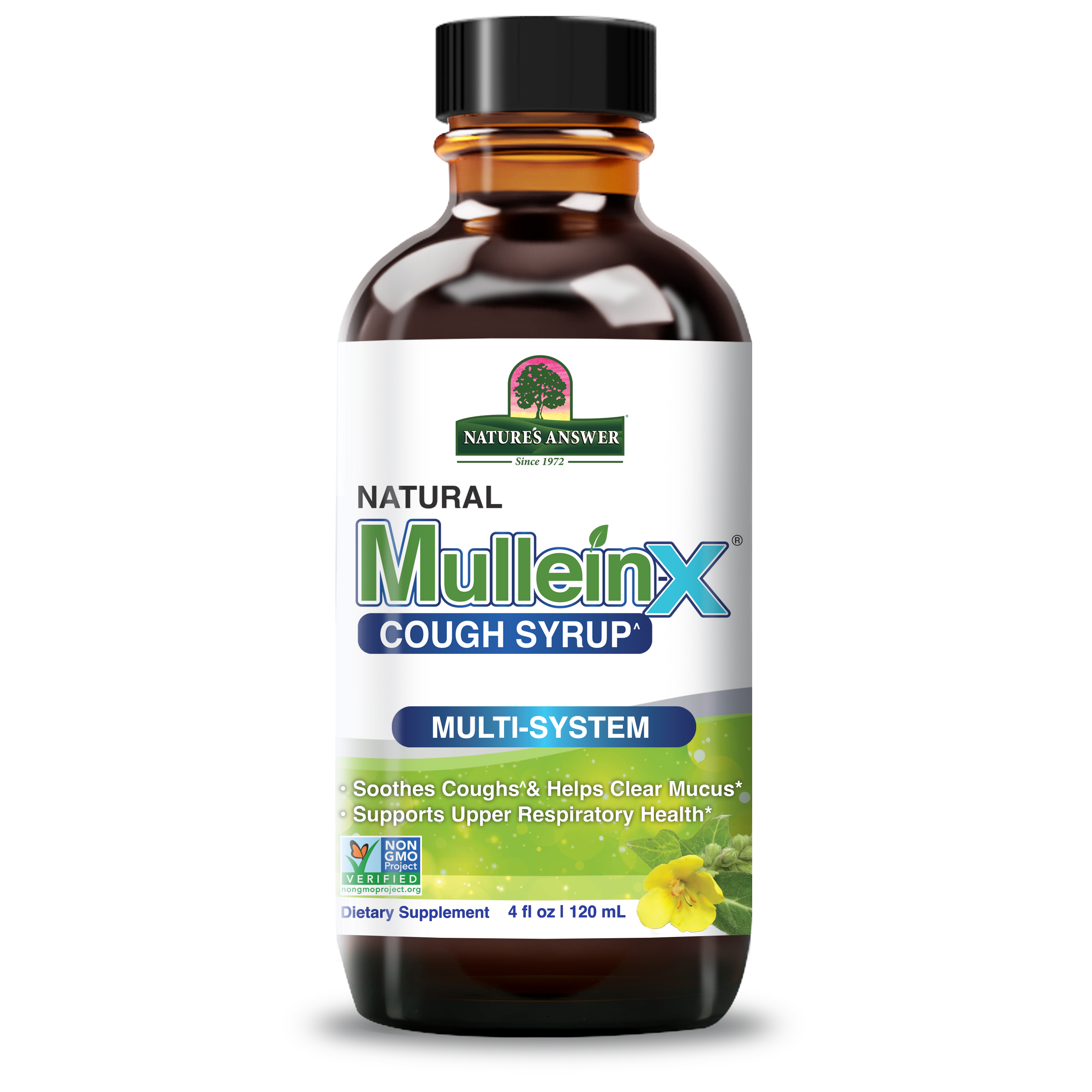 Mullein-X Cough Syrup - Multi System | Buy Mullein Cough Syrup - Nature ...
